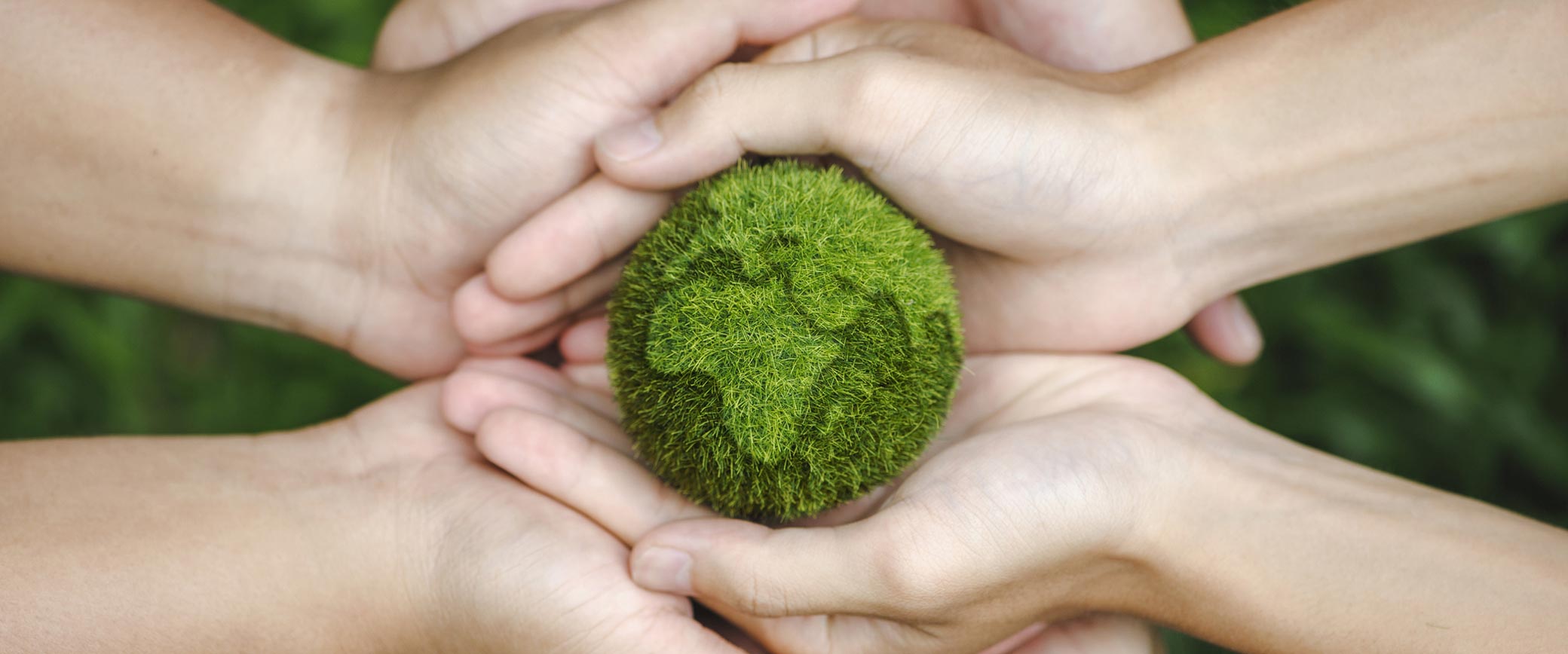 Sustainable Development Goals | evofenedex